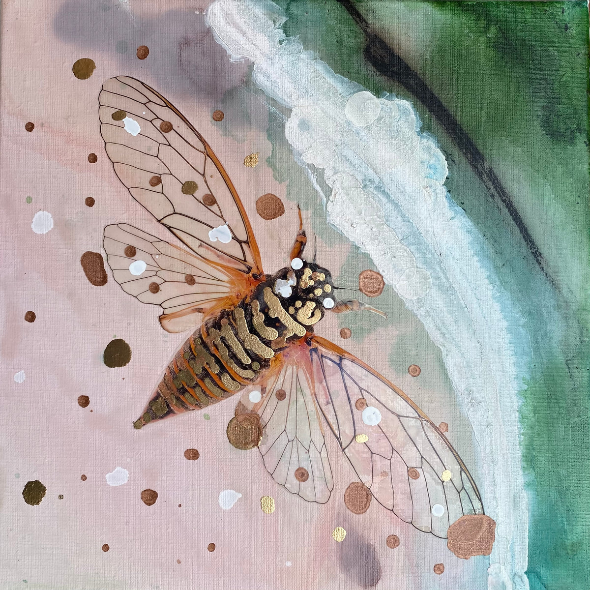 Close to Extinction Light set of 3 - Sea Turtle and Cicada Ocean Origi ...